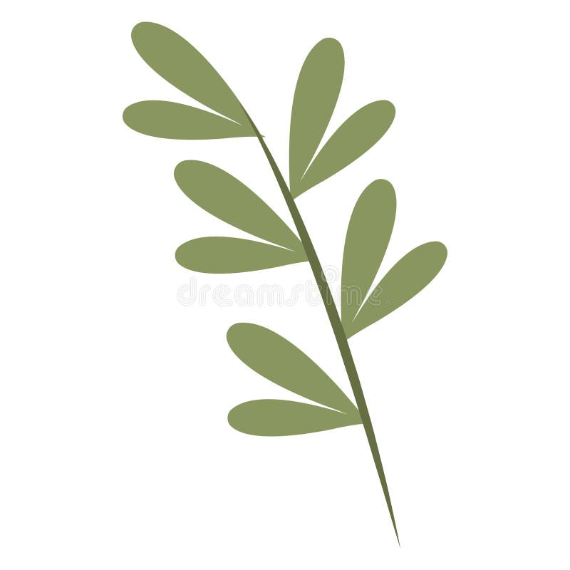Simple Green Leaf Branch Icon. Vector Stock Vector - Illustration of ...
