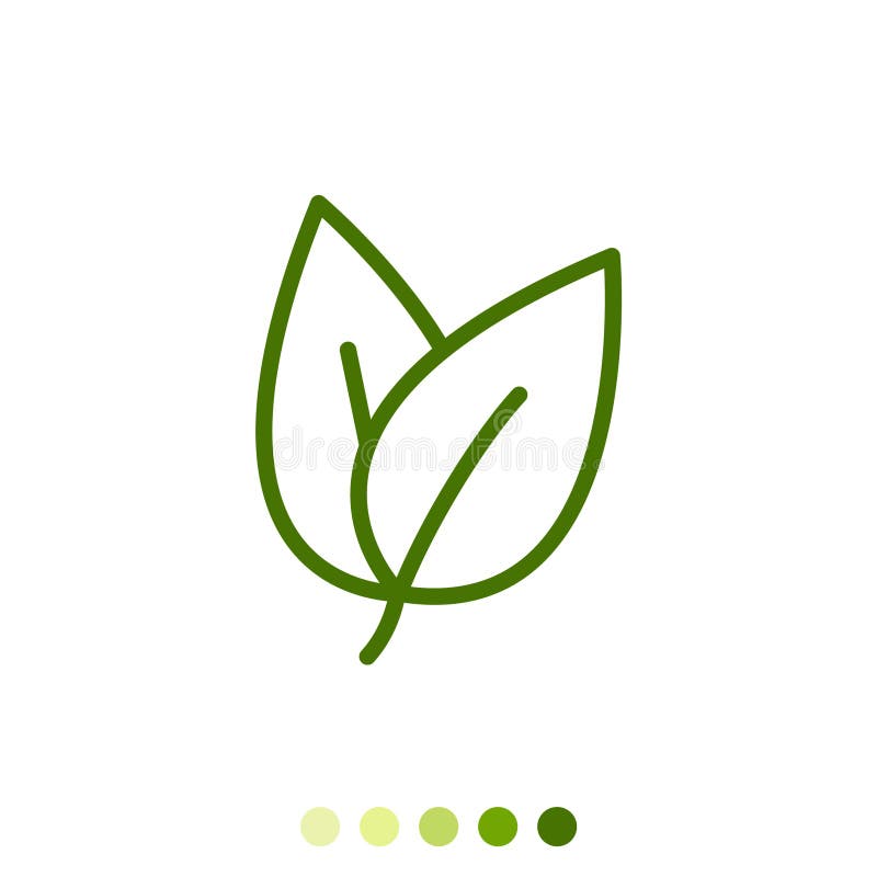 Simple Green Leaf Linear Icon Stock Vector - Illustration of forest ...