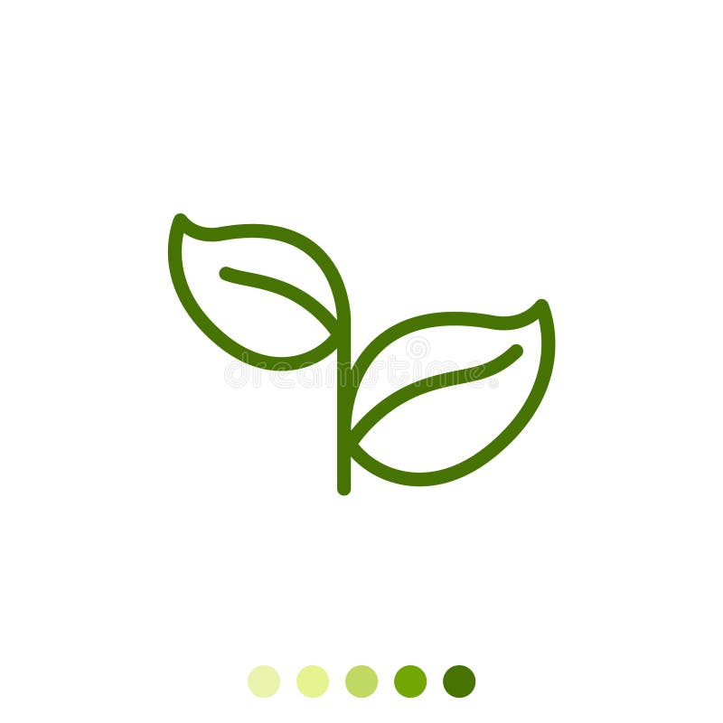 Simple Green Leaf Linear Icon Stock Vector - Illustration of logo ...