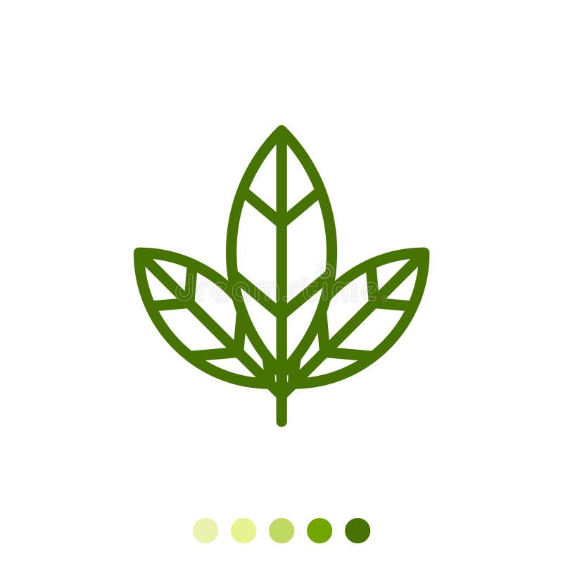Simple Green Leaf Linear Icon Stock Vector - Illustration of ecology ...