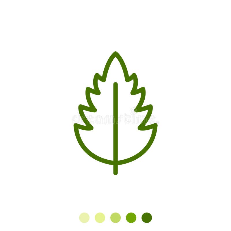 Simple Green Leaf Linear Icon Stock Vector - Illustration of collection ...