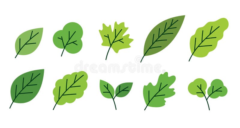 Simple Green Leaves Elements Vector Illustration Stock Vector ...