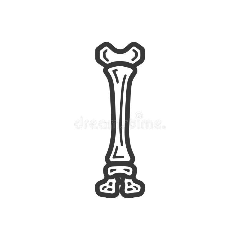 Stylized Hand Bone Illustration: Medical Diagram, Anatomy Sketch Stock ...