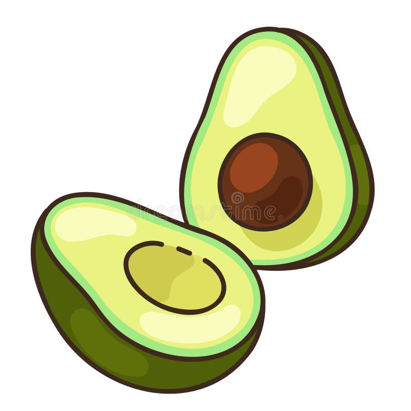 Simple Hand Drawn Cut Avocado Illustration Stock Vector - Illustration ...