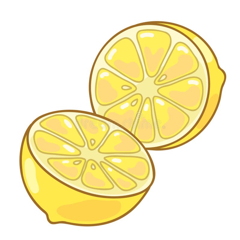 Simple Hand Drawn Cut Lemon Illustration Stock Vector - Illustration of ...