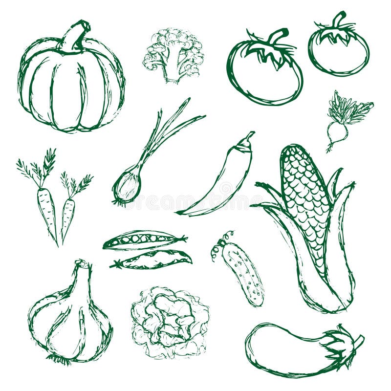 Simple Hand Drawn Doodle Vegetables Icons Stock Vector - Illustration ...