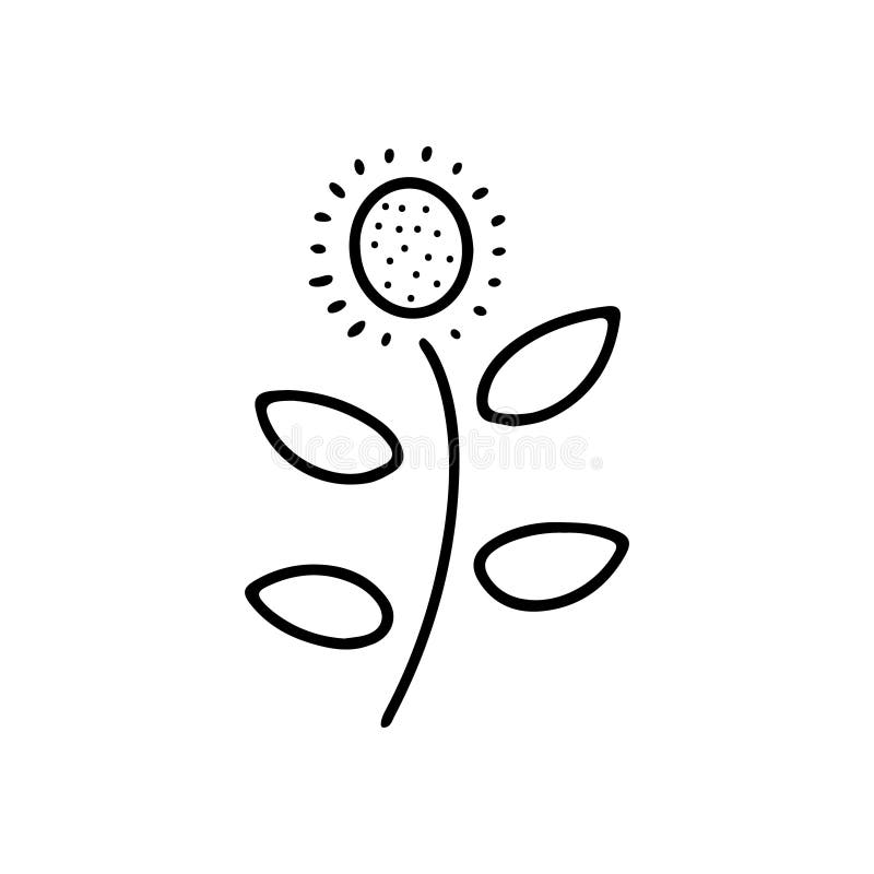Simple Vine Illustration Outline Border Vector Stock Illustrations ...
