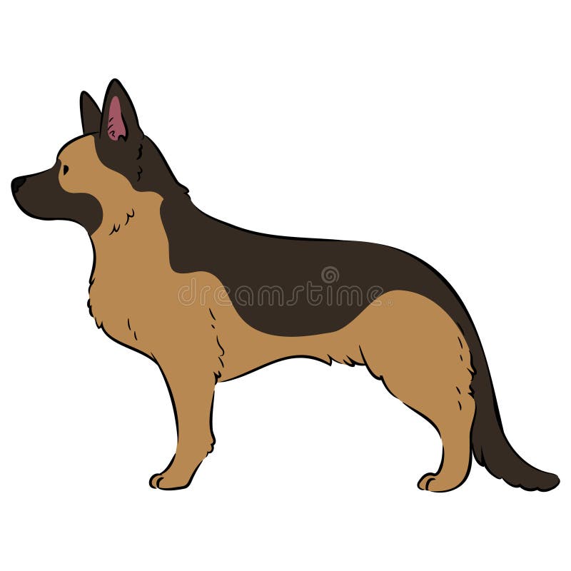 Simple Hand Drawn Illustration of German Shepherd in Side View Stock ...