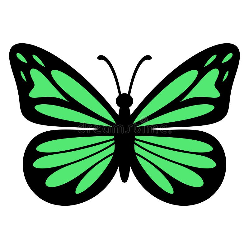 Simple Hand Drawn Single Green Butterfly Vector Illustration Isolated ...