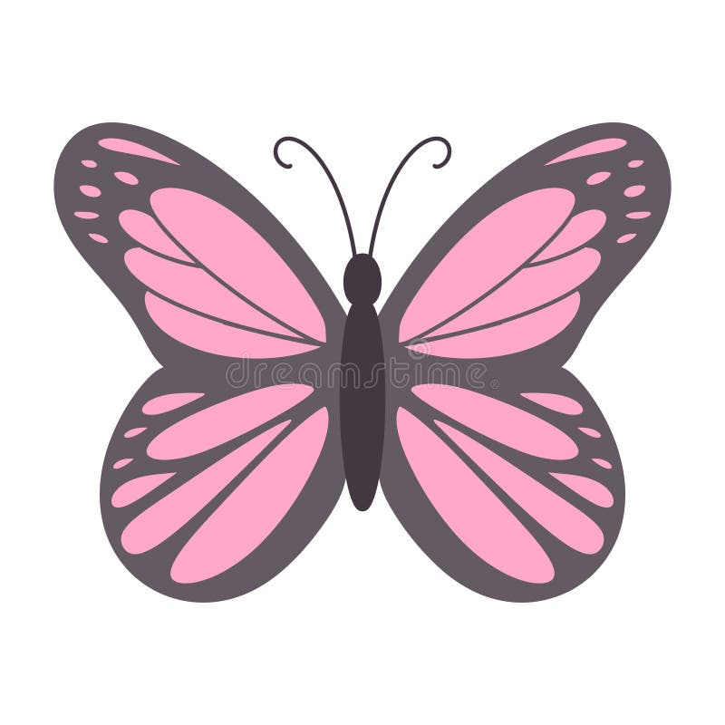 Simple Hand Drawn Single Pink Butterfly Vector Illustration Isolated on ...