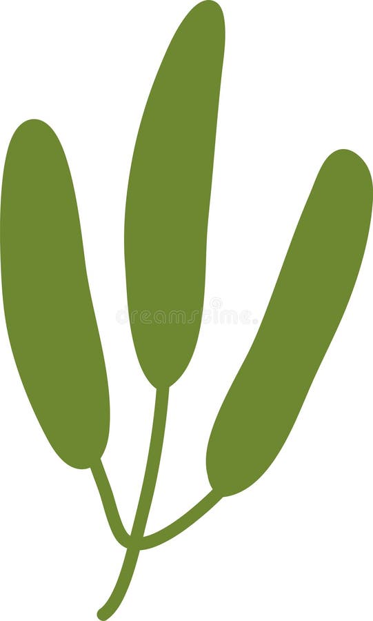 Simple Hand Drawn Wildflower Plant Stock Illustration - Illustration of ...