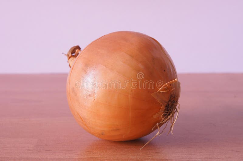 A simple and healthy onion stock image. Image of healthy - 180658877