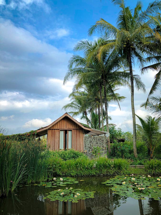 Simple Home with the Natural Concept Stock Image - Image of simple ...