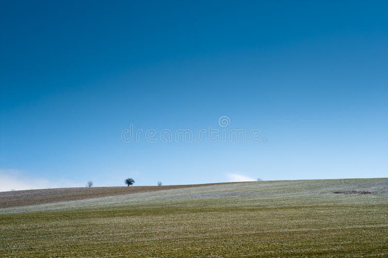 Simple horizon stock photo. Image of tree, background - 12321270
