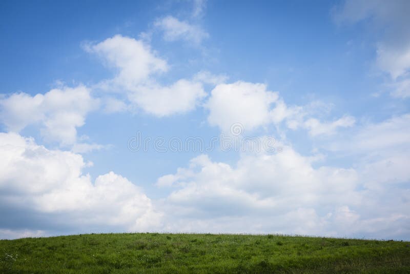 Simple horizon stock photo. Image of tree, background - 12321270