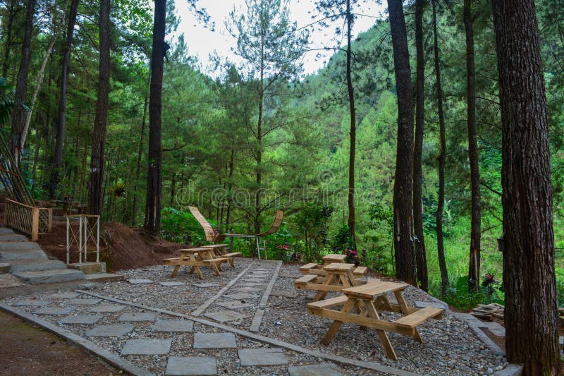 Simple House in the Middle of Natural Forest Stock Photo - Image of ...