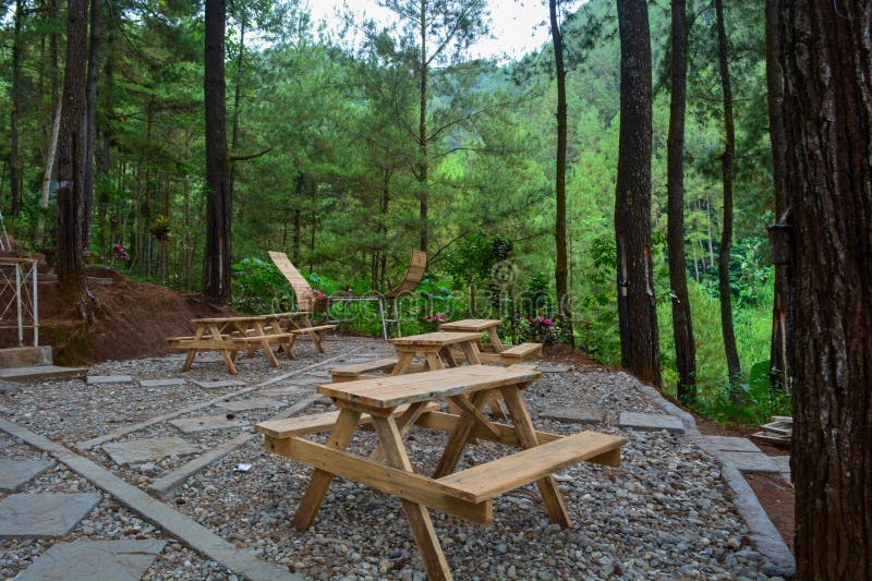 Simple House in the Middle of Natural Forest Stock Photo - Image of ...