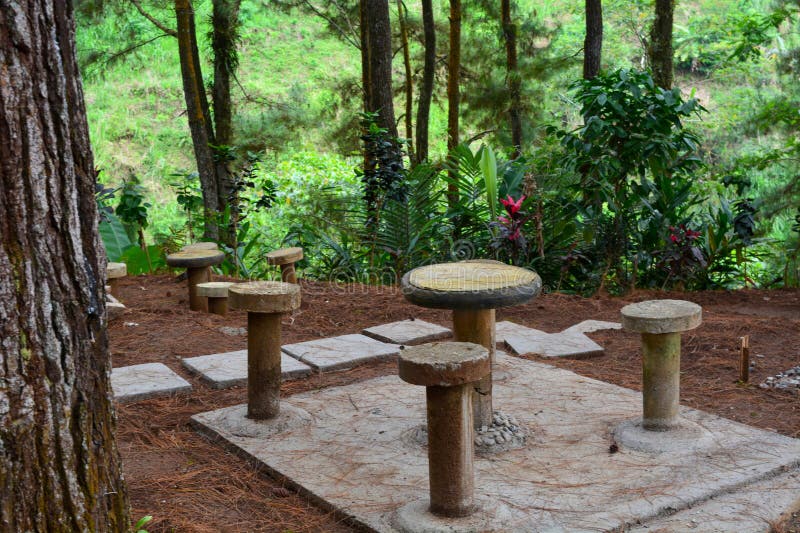 Simple House in the Middle of Natural Forest Stock Image - Image of ...