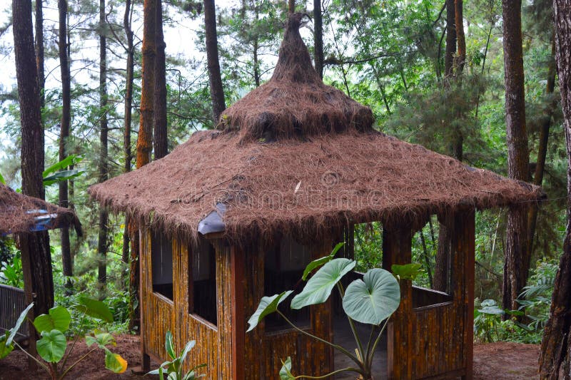 Simple House in the Middle of Natural Forest Stock Photo - Image of ...