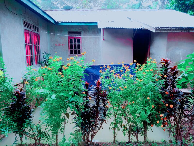 A Simple House in a Remote Village in Indonesia Stock Image - Image of ...