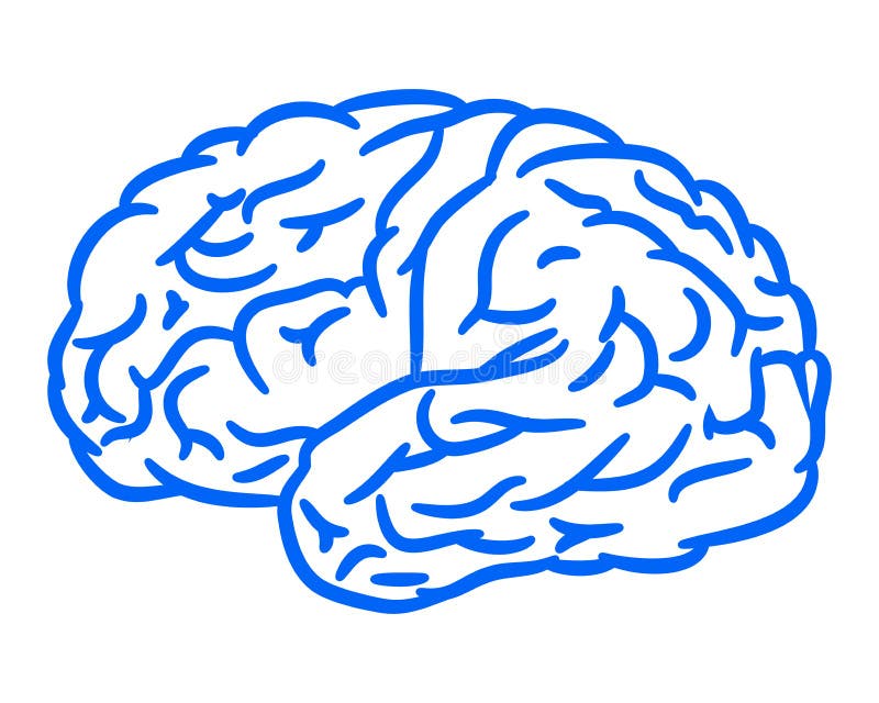 Simple Human Brain - Vector Stock Illustration - Illustration of ...