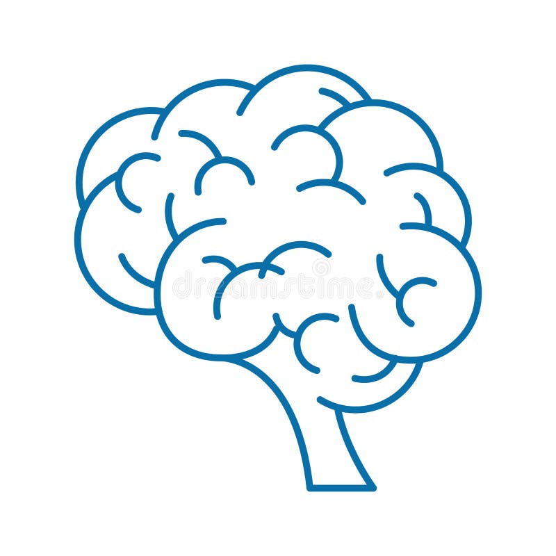 Simple Human Brain - Vector Stock Vector - Illustration of ...