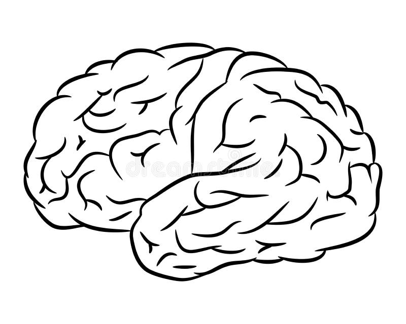 Simple Human Brain - Vector Stock Illustration - Illustration of ...