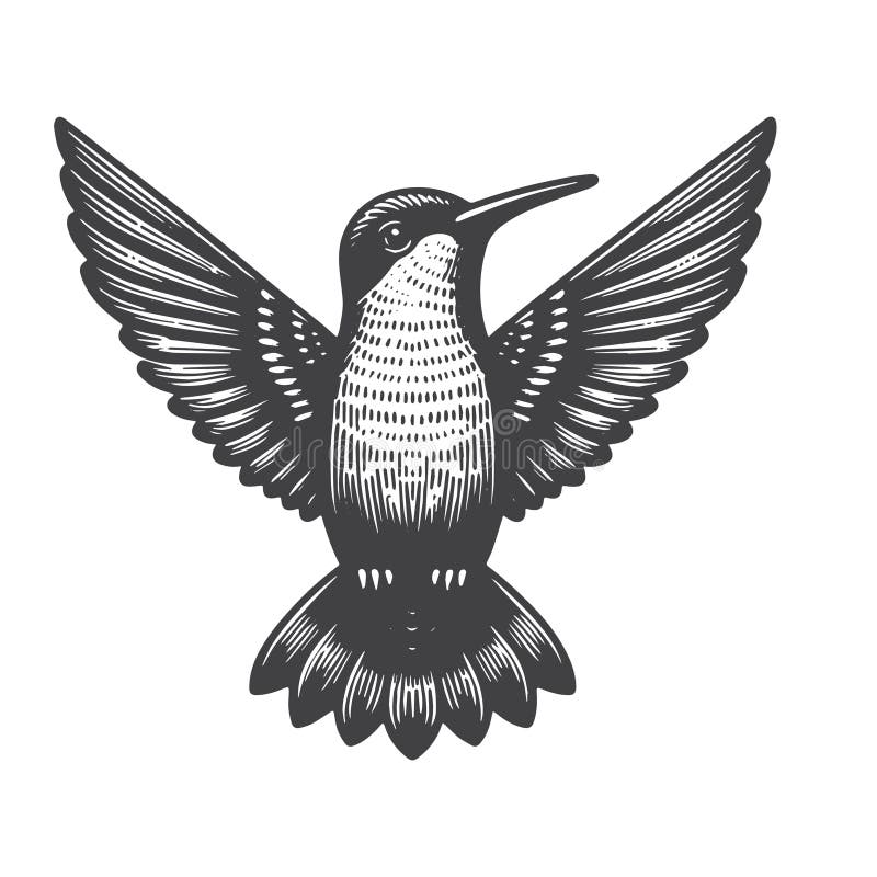 Hummingbird Front View Vintage Retro Vector Icon Design. Stock Vector ...