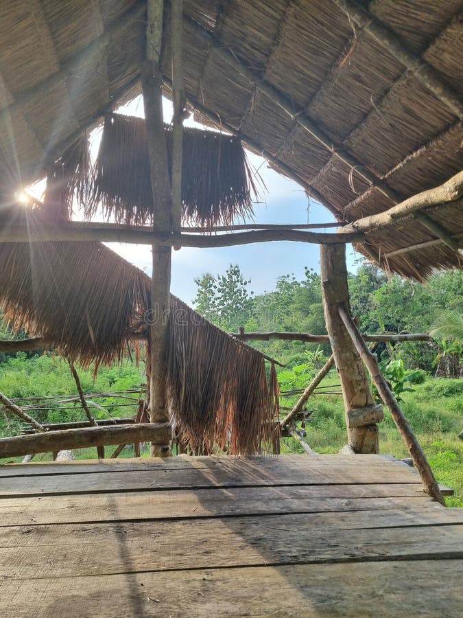 Simple hut in the garden stock image. Image of house - 276470713