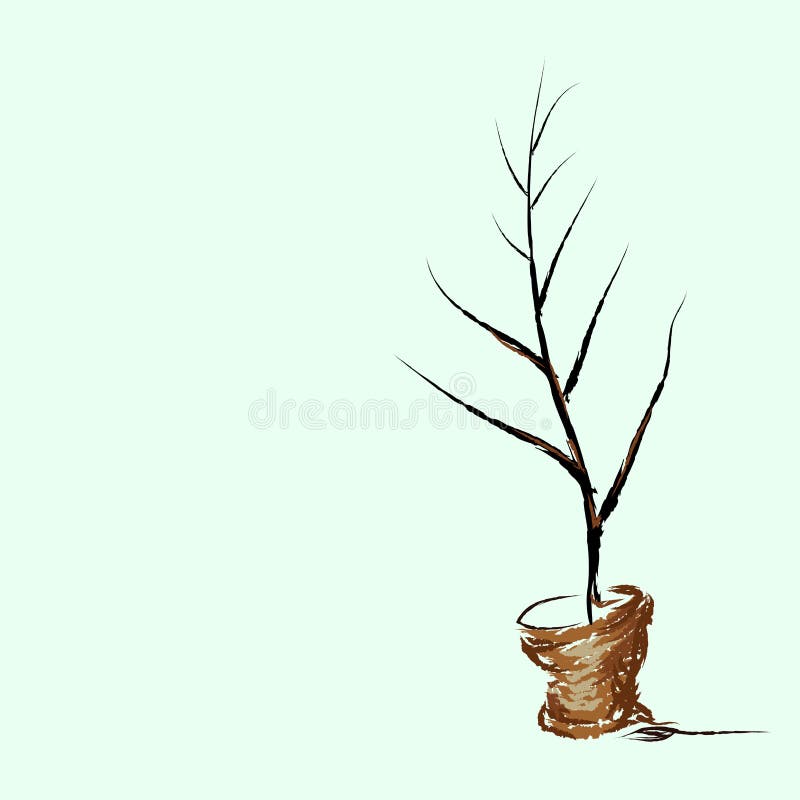 Dried dead trees in pots stock vector. Illustration of deciduous ...