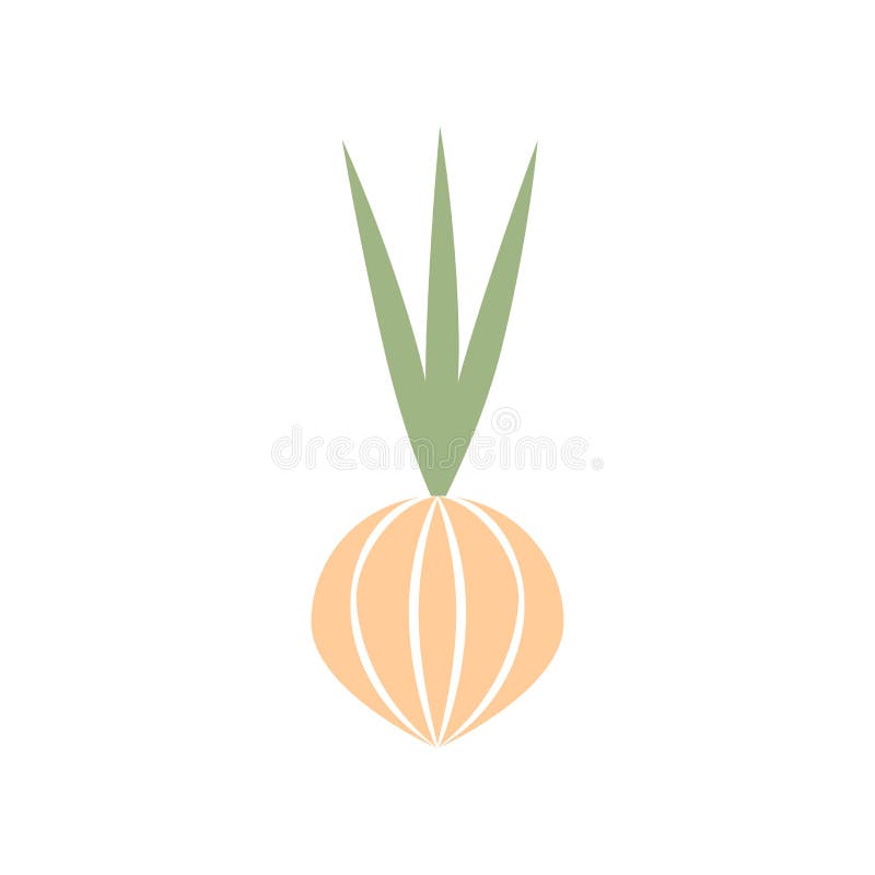 Simple Illustration of a Flat-style Onion Stock Vector - Illustration ...