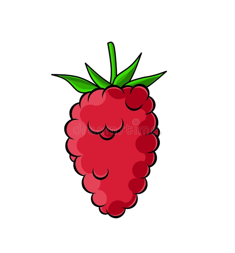 Simple Illustration of Fresh and Beautiful Raspberry. Stock ...