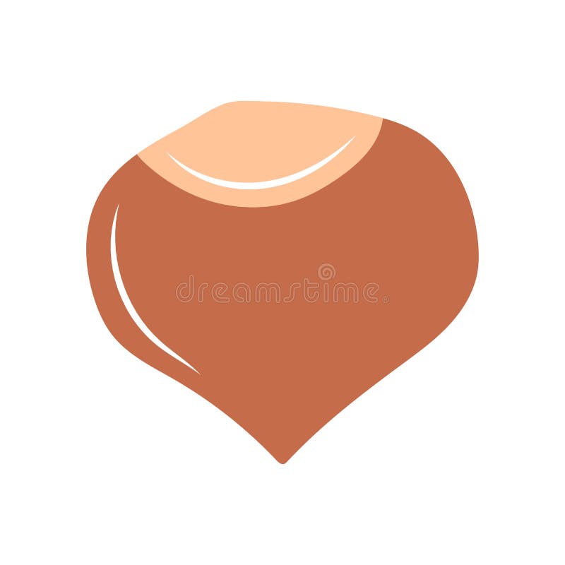 Simple Illustration of Hand-drawn Hazelnut Nut Stock Vector ...