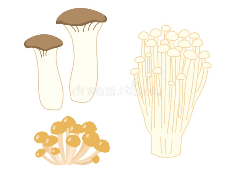 Simple Illustration of Kingfish, Enoki and Nameko. Stock Vector ...