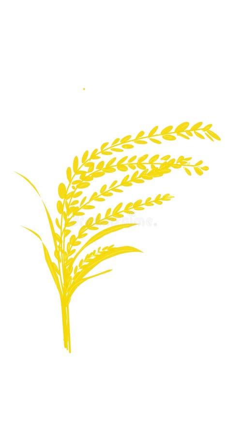Simple Illustration of Yellow Rice with a White Background Stock ...