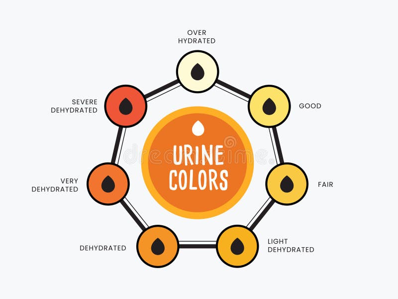 Urine Sticker Stock Illustrations – 118 Urine Sticker Stock ...