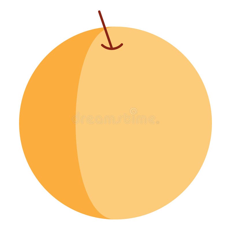 Isolated Apricot on White Background. Simple Object for Print, Design ...