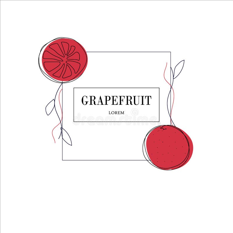 Grapefrfruit Stock Illustrations – 1 Grapefrfruit Stock Illustrations ...
