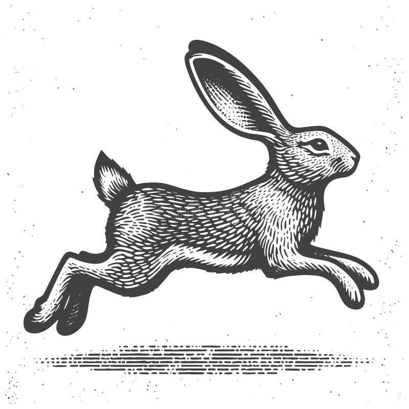 Vintage Jackrabbit Jumping Vector Icon Design. Stock Vector ...