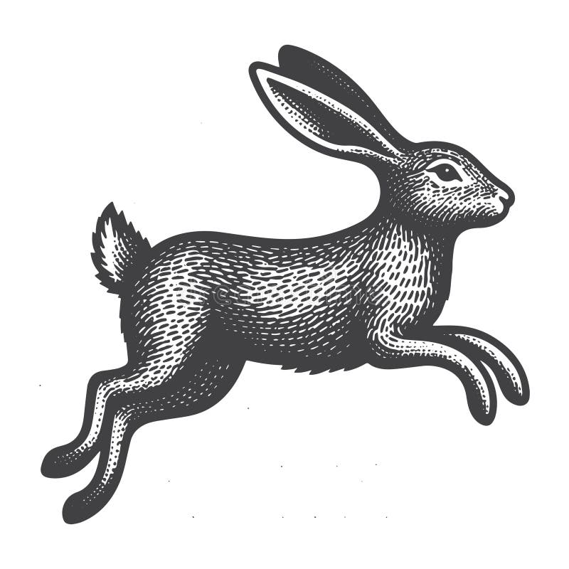 Jackrabbit Jumping Vector Icon Design. Stock Vector - Illustration of ...