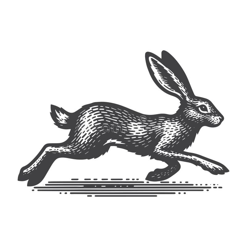 Vintage Jackrabbit Running Vector Icon Illustration. Stock Vector ...