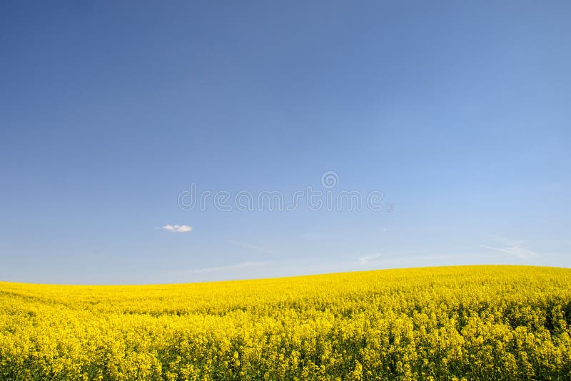 Simple landscape stock photo. Image of minimalistic, rural - 27202886