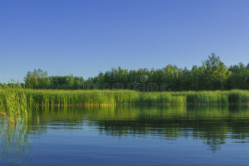 Simple Landscape of Lake with Shore Reflection Stock Image - Image of ...