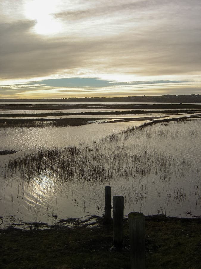 Simple Landscape with Seashore Stock Photo - Image of landscape ...