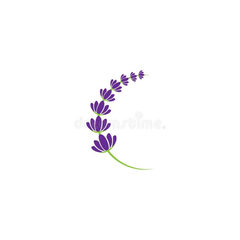 Simple Lavender Flower Free Icon Vector Logo Stock Illustration ...