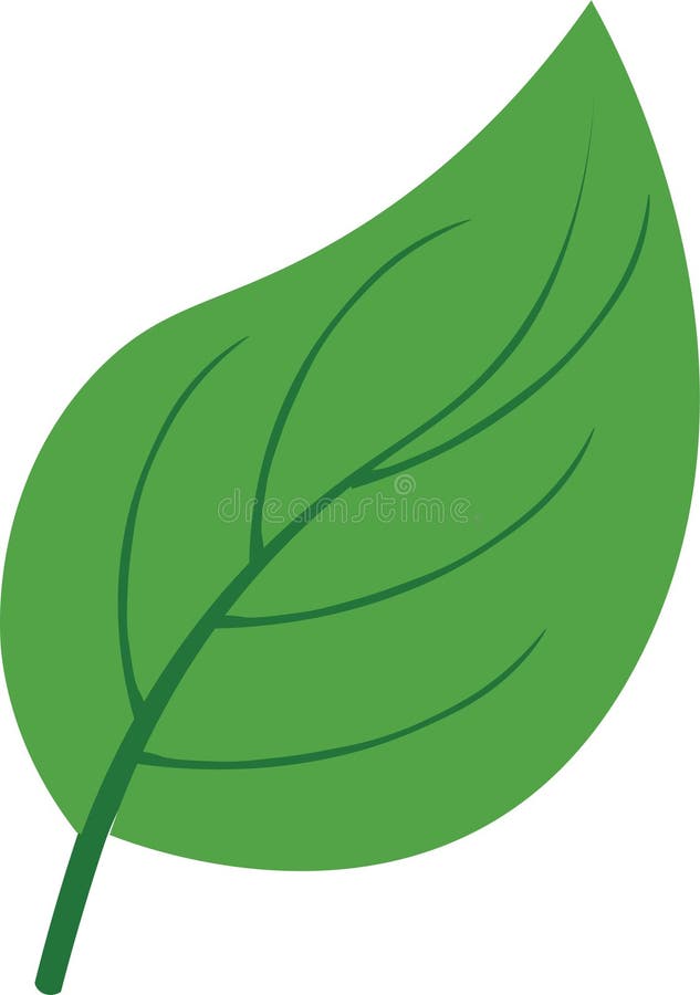 Simple Leaf stock vector. Illustration of drawing, margin - 271049231