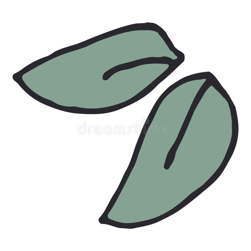 Simple Leaf Design Element Isolated. Stock Vector - Illustration of ...