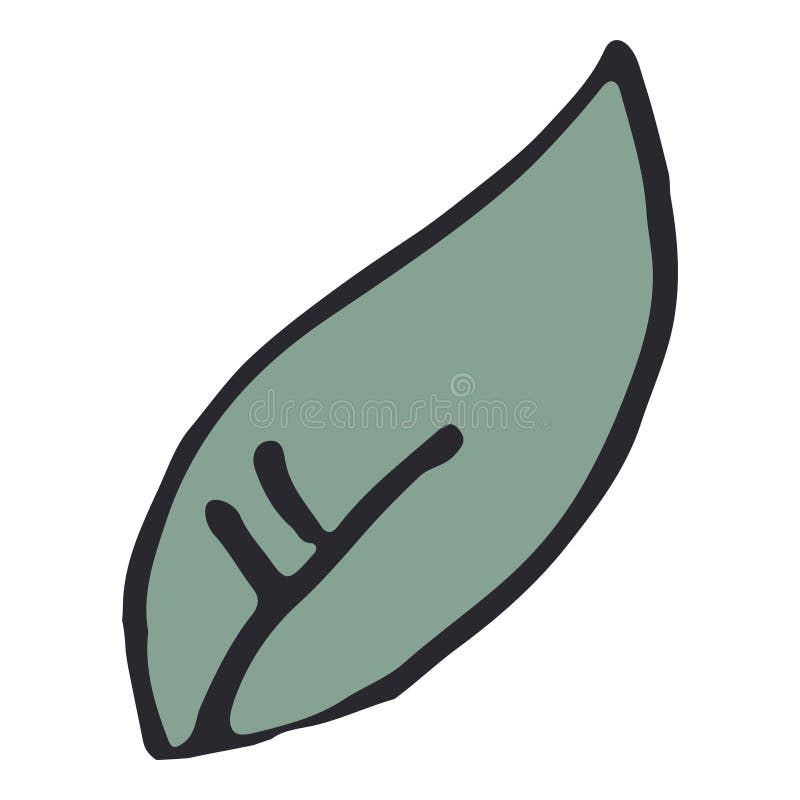 Simple Leaf Design Element Isolated. Stock Vector - Illustration of ...