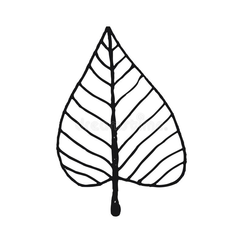 Simple Leaf Design. Vector Illustration Decorative Design Stock Vector ...