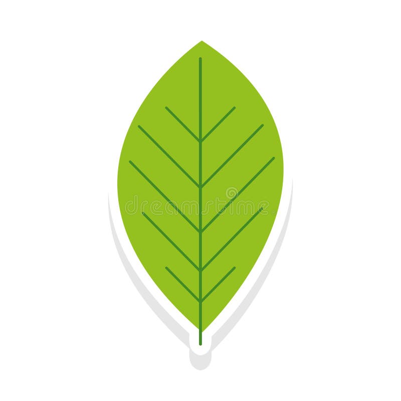 Simple leaf icon image stock vector. Illustration of foliage - 79418307